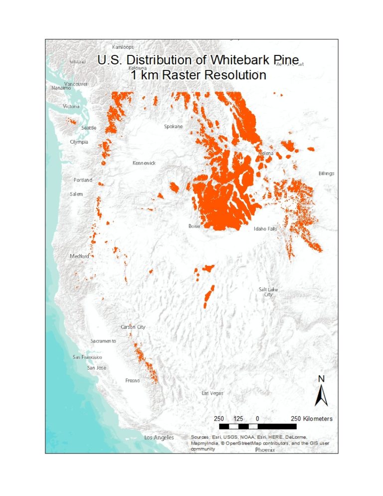 Data Call 1 – Whitebark Pine Ecosystem Foundation
