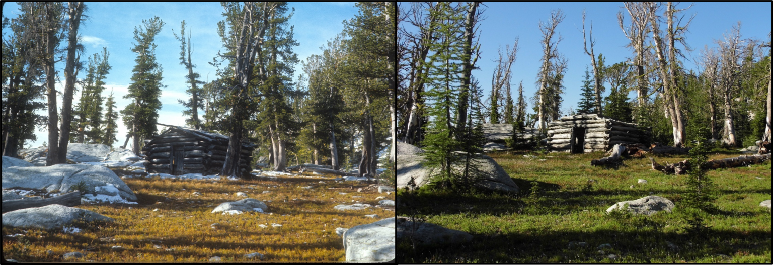 Repeat Photography Tells the Whitebark Pine Story – Whitebark Pine ...
