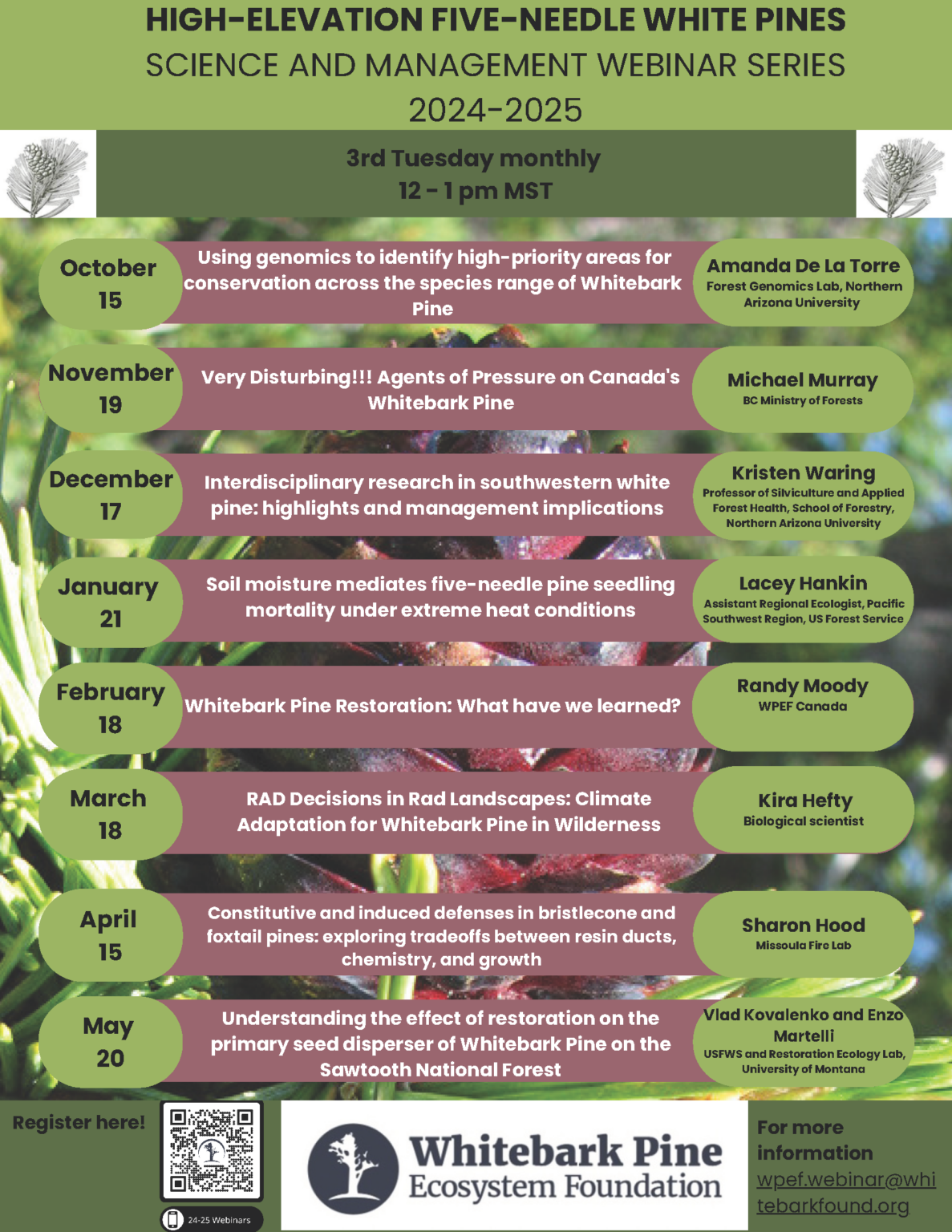 Welcome | Whitebark Pine Ecosystem Foundation